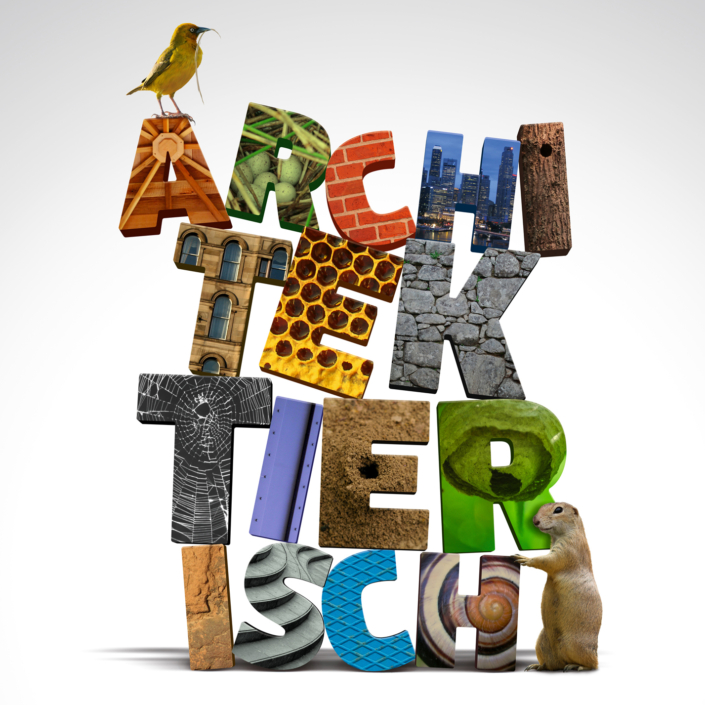 Aktuelles rund um deinen Besuch im Kindermuseum FRida & freD