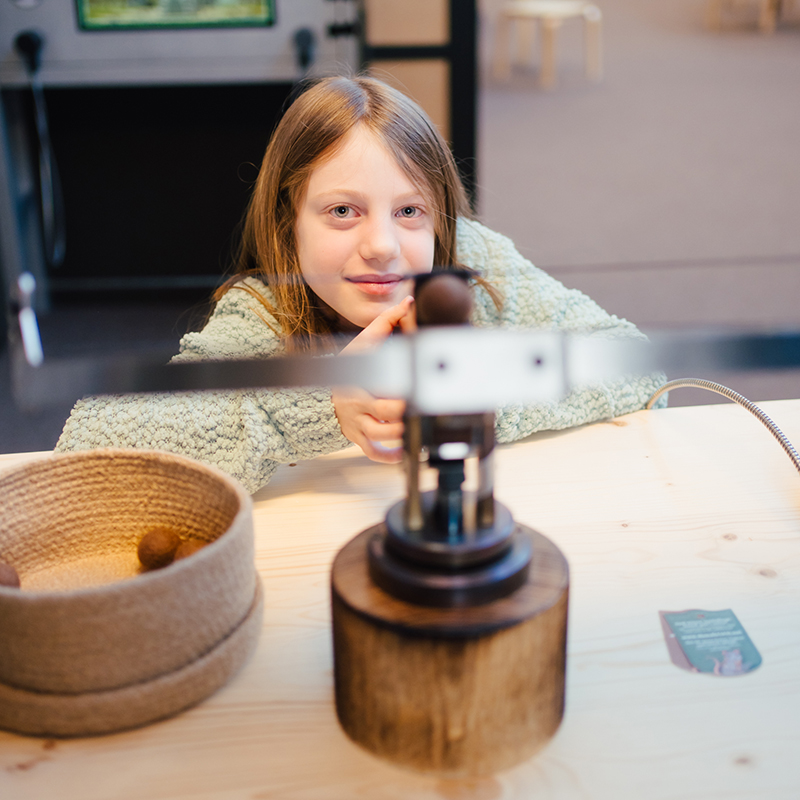 Was ist los im Grazer Kindermuseum FRida & freD